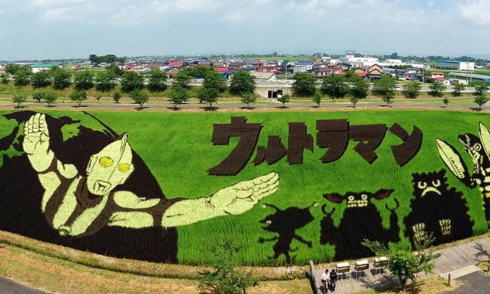 07_Tambo_Art | Japanization