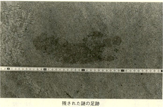 L’Hibagon, le yéti japonais qui a paniqué l’archipel en 1970